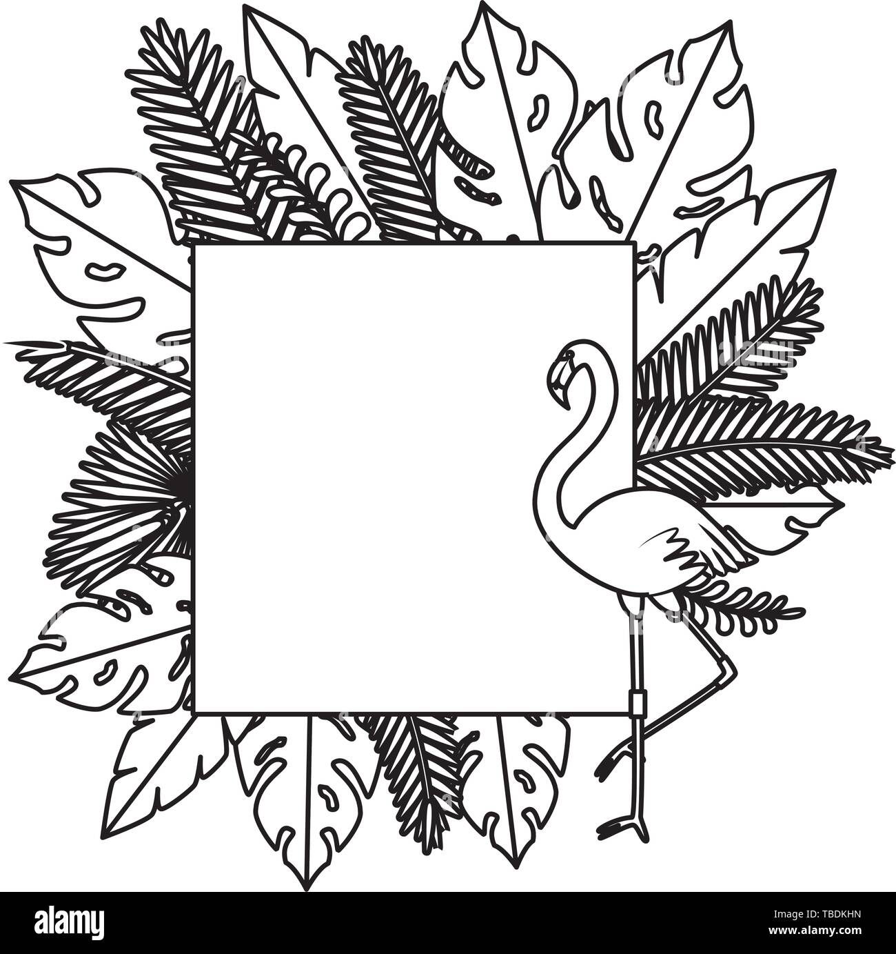 summer square frame with flemish and exotic leafs plants Stock Vector ...