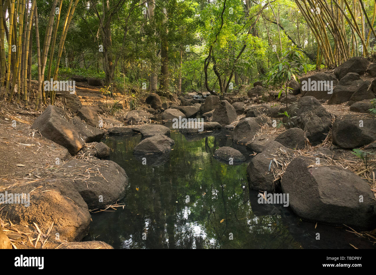Osho teerth hi-res stock photography and images - Alamy