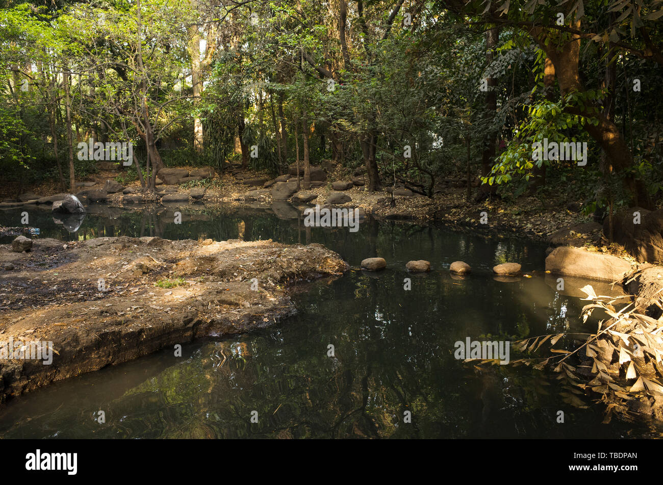 Osho pune hi-res stock photography and images - Alamy