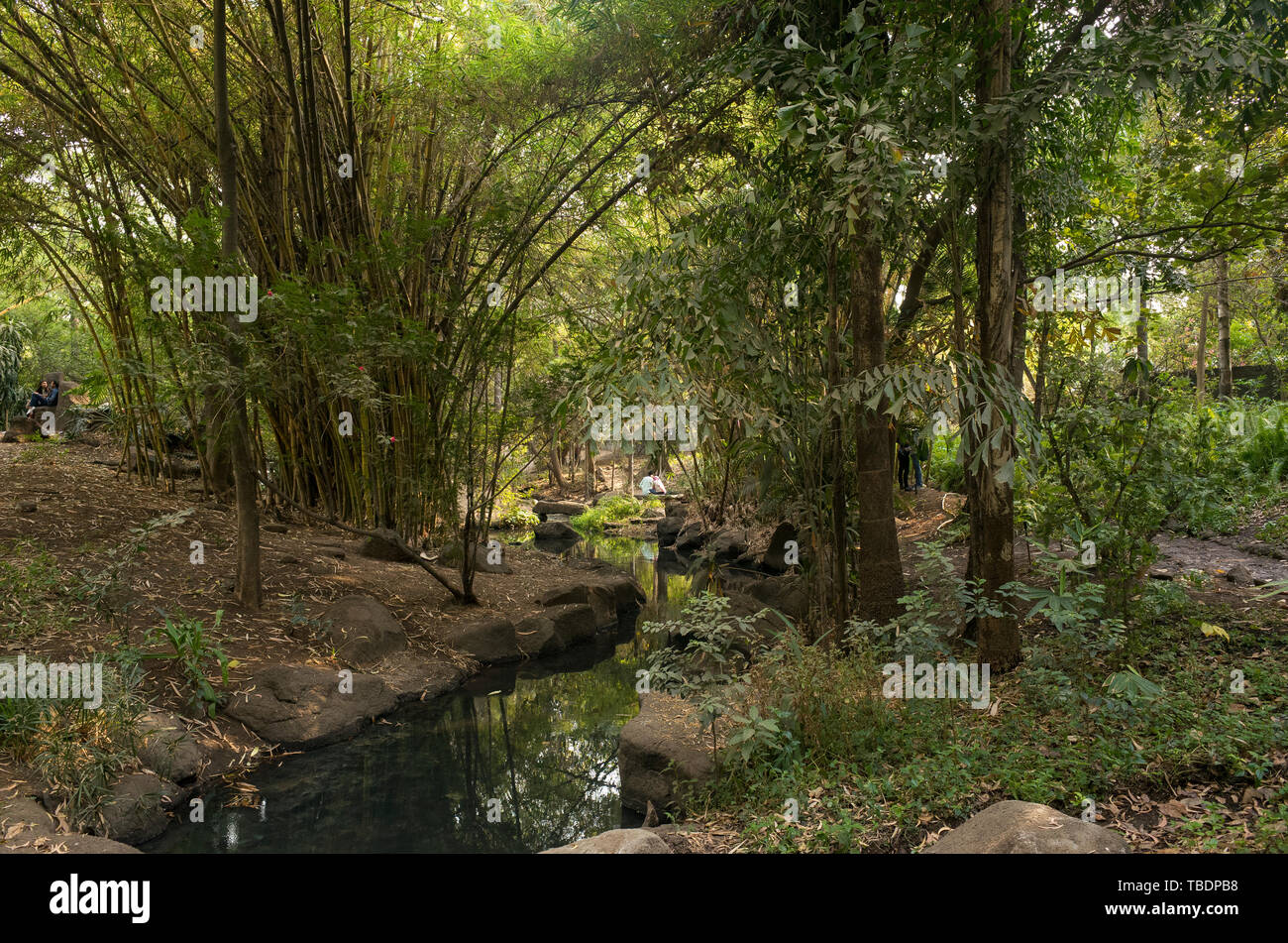 Pune / India - 03 30 2019, Beautiful OSHO Teerth Park, Nice sunny ...