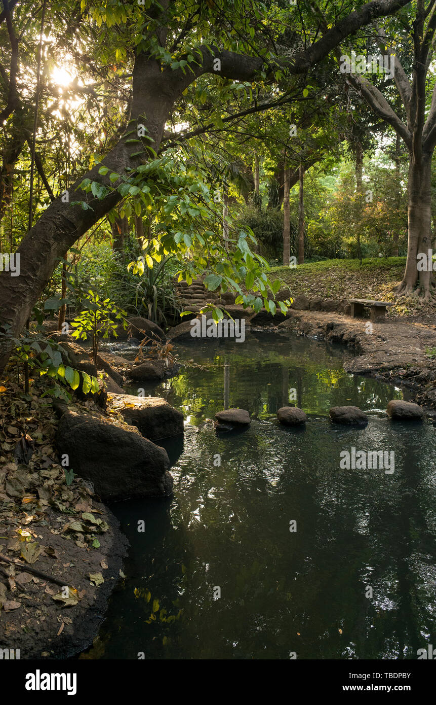 Osho pune hi-res stock photography and images - Alamy