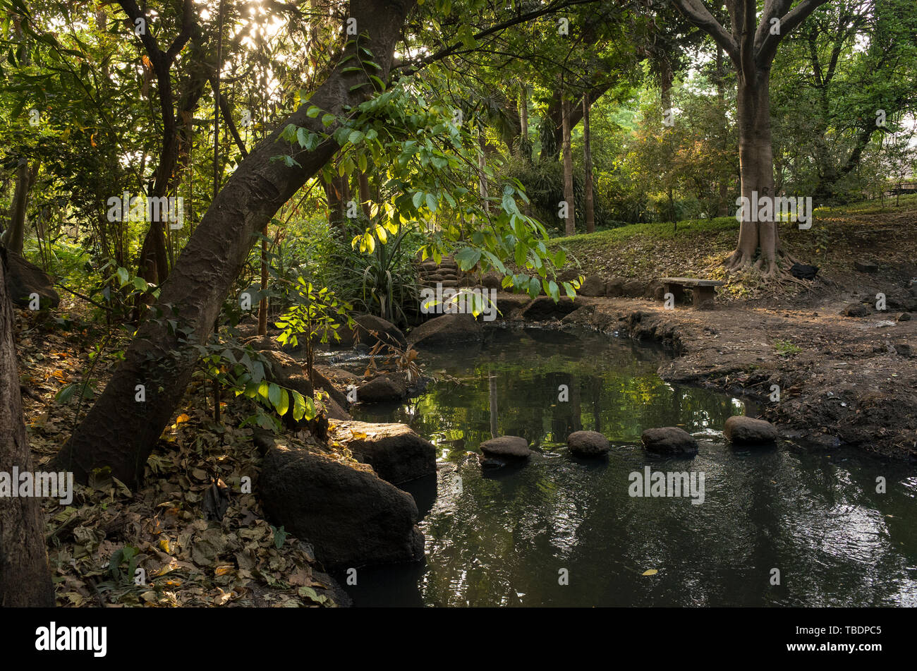 Osho pune hi-res stock photography and images - Alamy