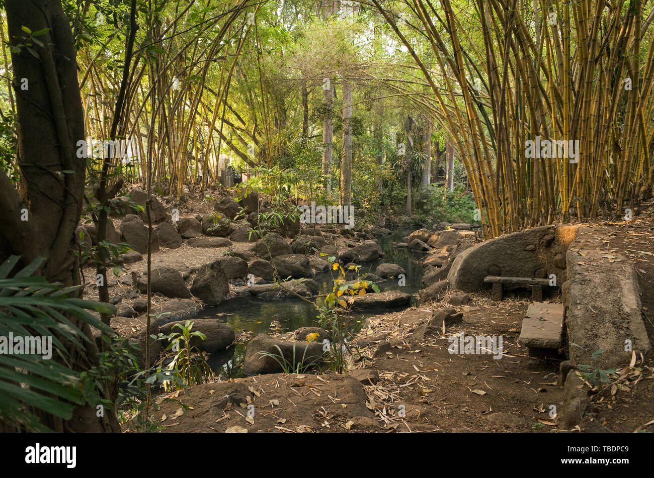 Osho teerth hi-res stock photography and images - Alamy