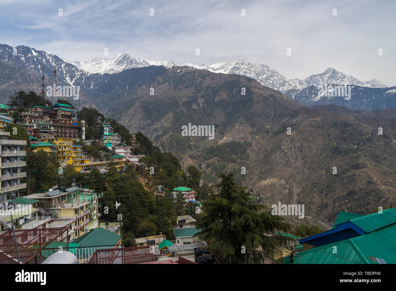 Beautiful nature and landscape photo of Dharamsala in India. Nice ...