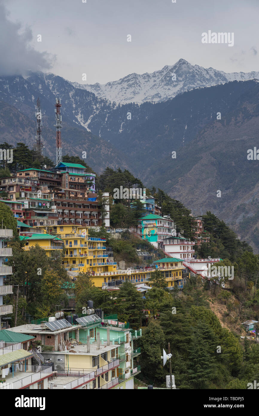 Beautiful nature and landscape photo of Dharamsala in India. Nice ...