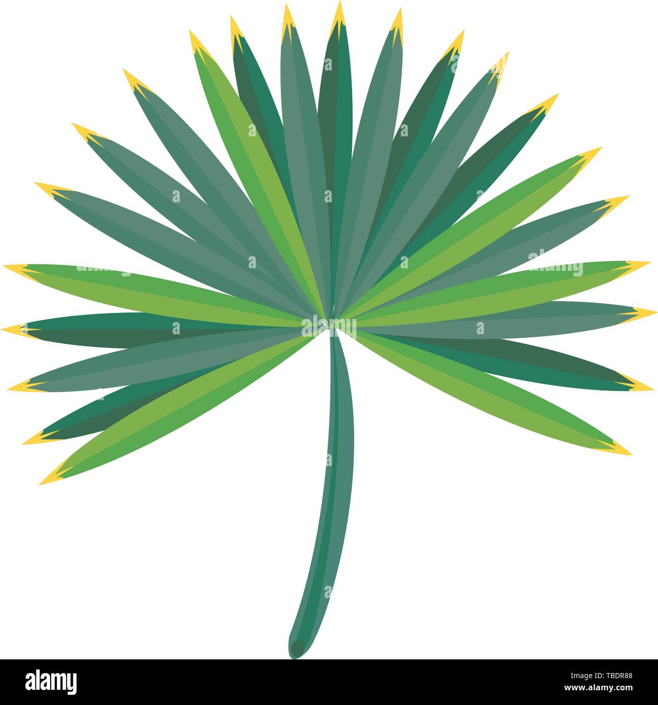 Tropical leaves nature cartoon isolated Stock Vector Image & Art - Alamy