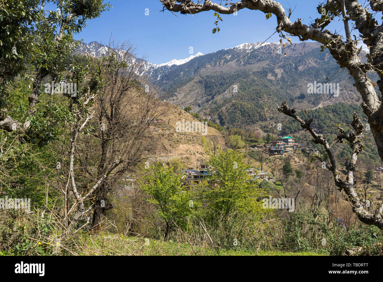 Beautiful nature and landscape photo of Dharamsala in India. Nice ...