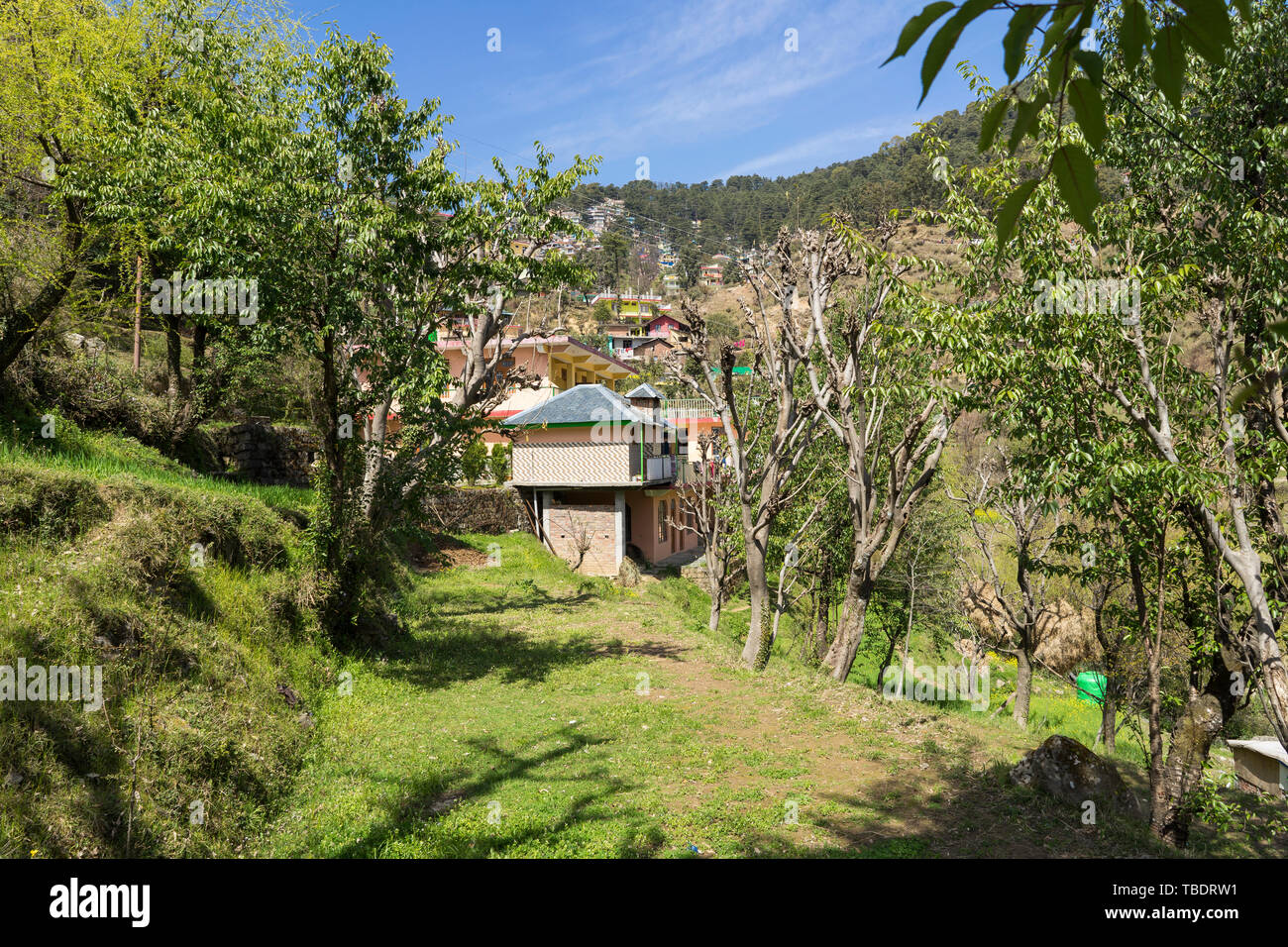 Beautiful nature and landscape photo of Dharamsala in India. Nice ...