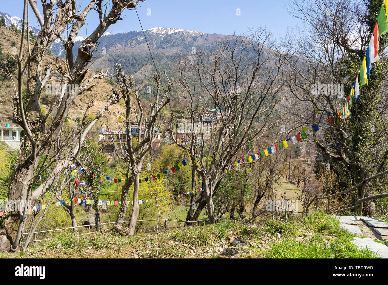 Beautiful nature and landscape photo of Dharamsala in India. Nice ...