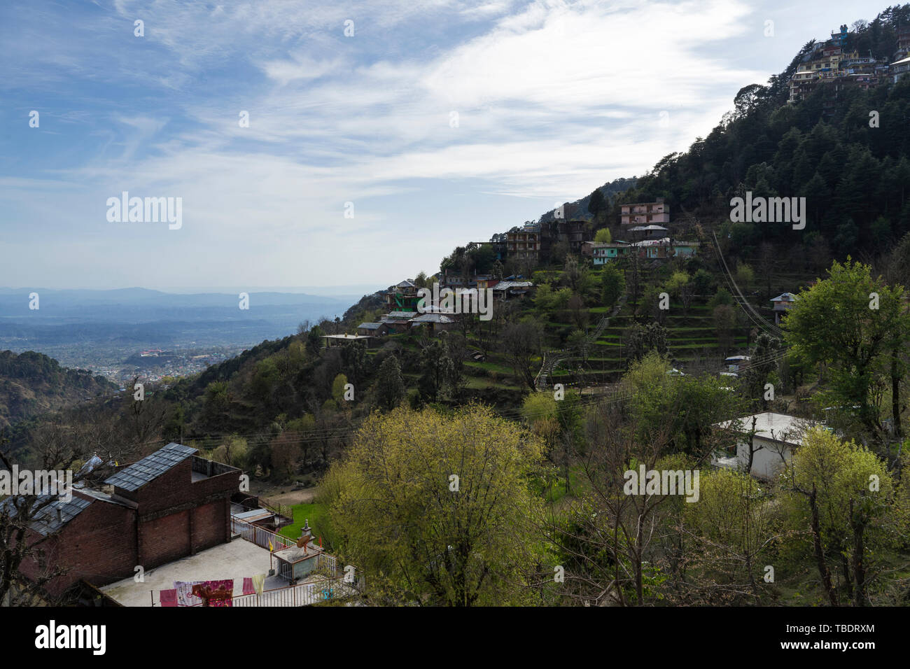 Beautiful nature and landscape photo of Dharamsala in India. Nice ...