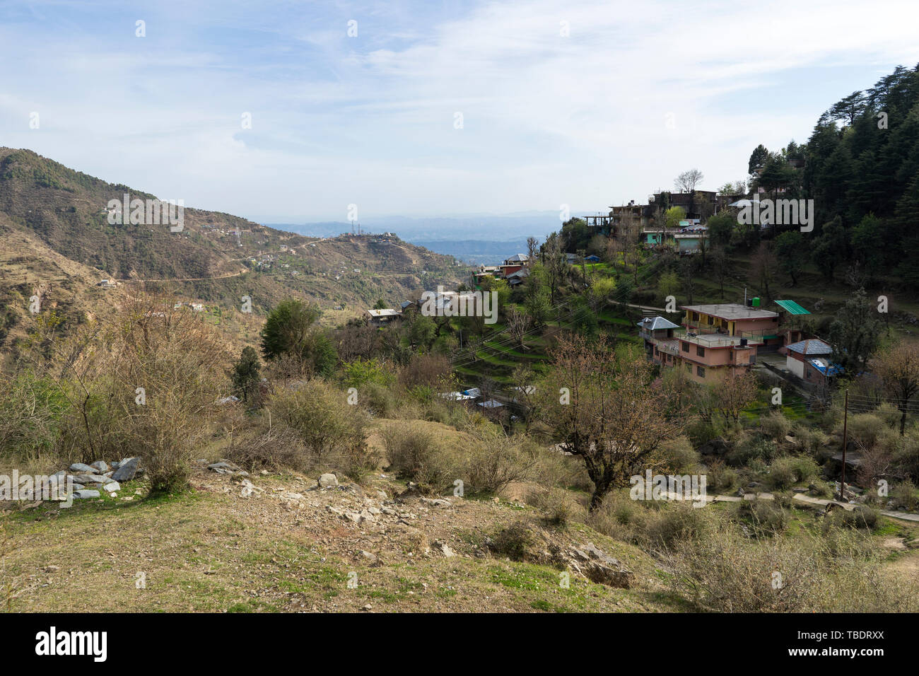 Beautiful nature and landscape photo of Dharamsala in India. Nice ...
