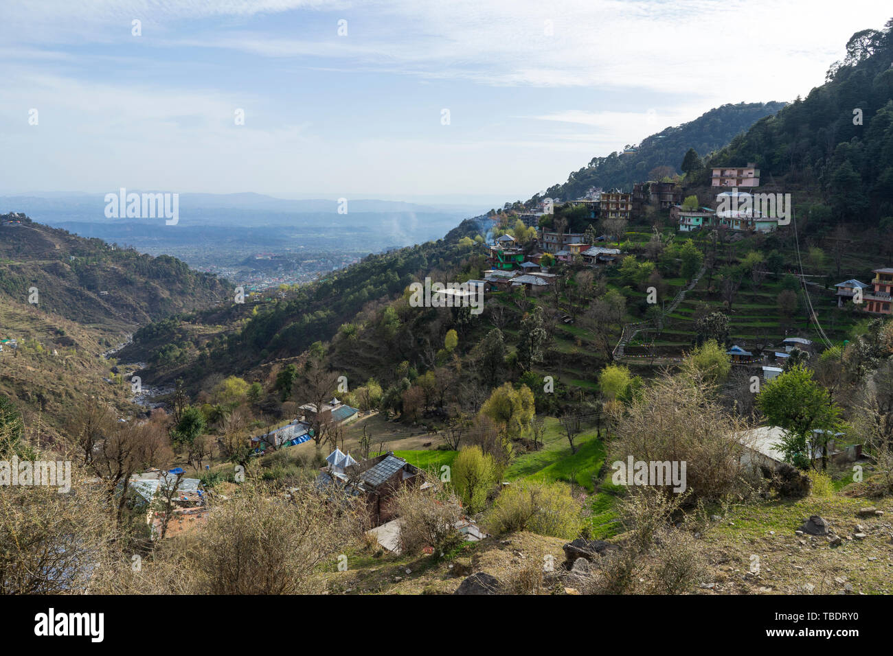 Beautiful nature and landscape photo of Dharamsala in India. Nice ...