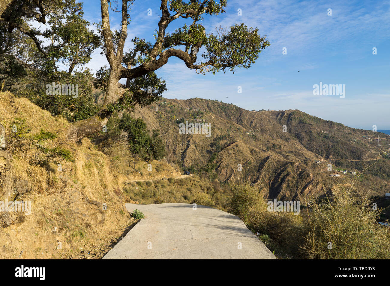 Beautiful nature and landscape photo of Dharamsala in India. Nice ...