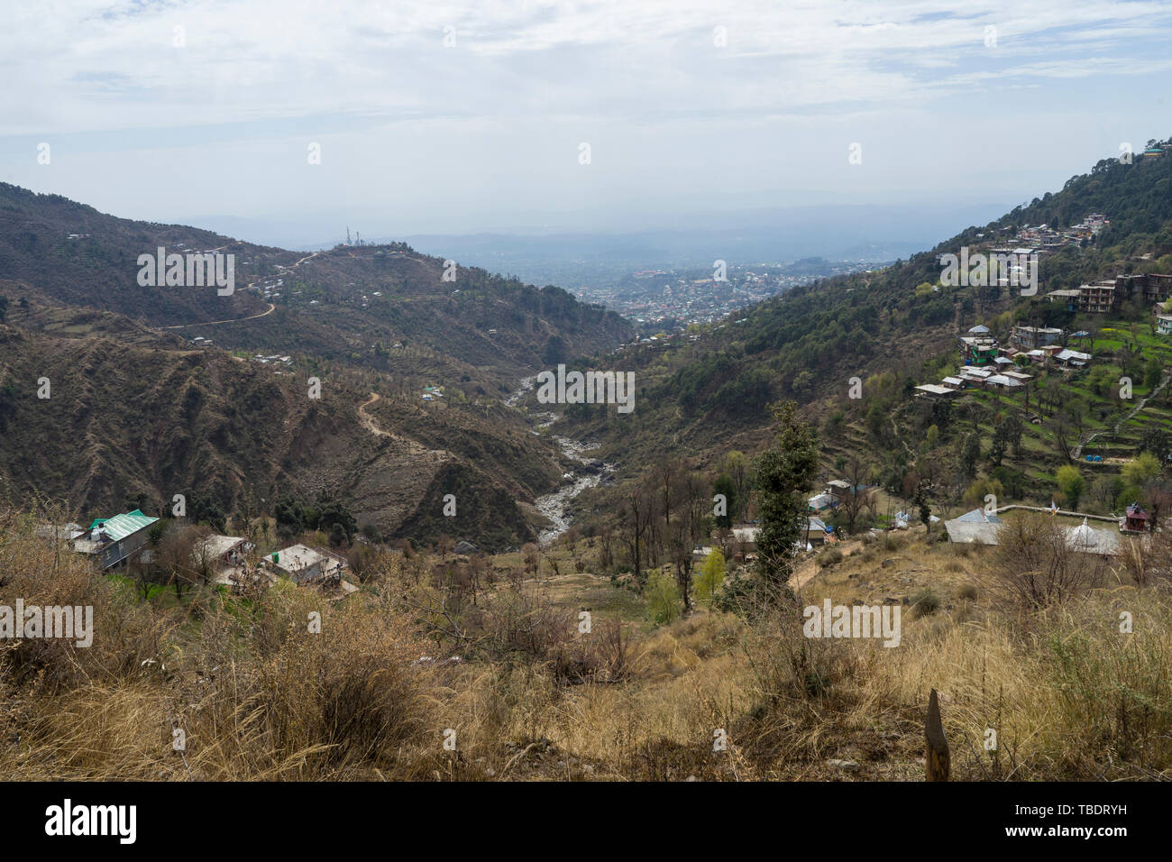 Beautiful nature and landscape photo of Dharamsala in India. Nice ...