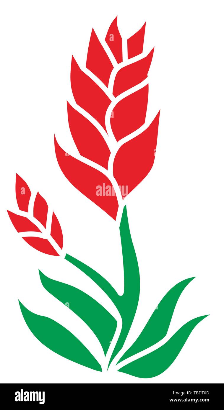 Flower Leaf Illustration Design Template Vector Stock Vector Image ...
