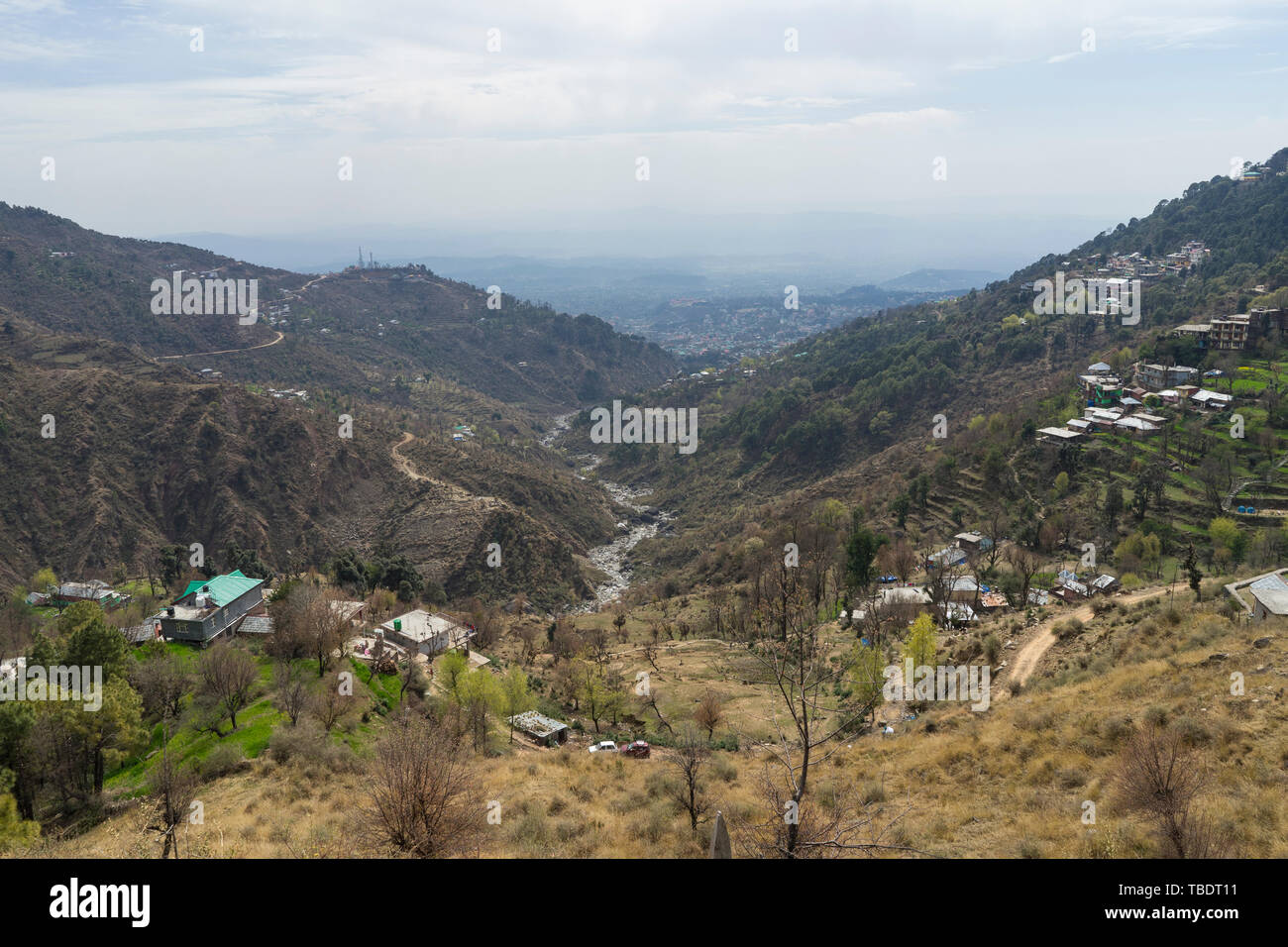Beautiful nature and landscape photo of Dharamsala in India. Nice ...