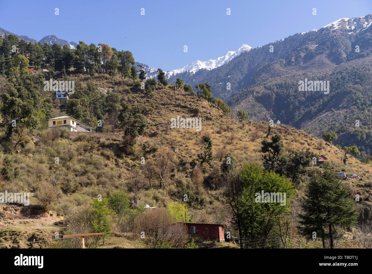 Beautiful nature and landscape photo of Dharamsala in India. Nice ...