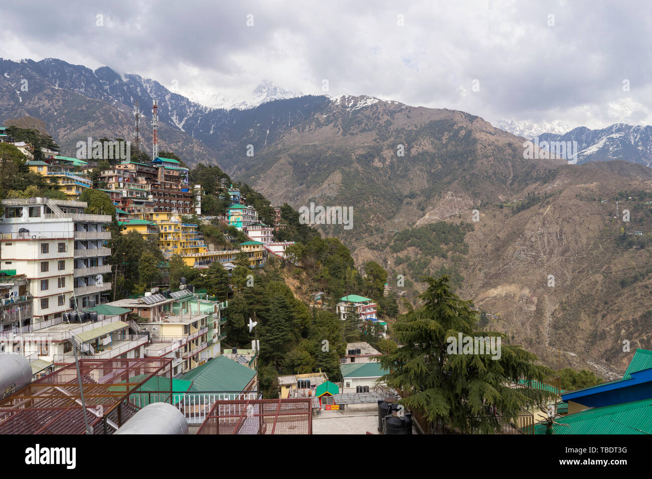 Beautiful nature and landscape photo of Dharamsala in India. Nice ...