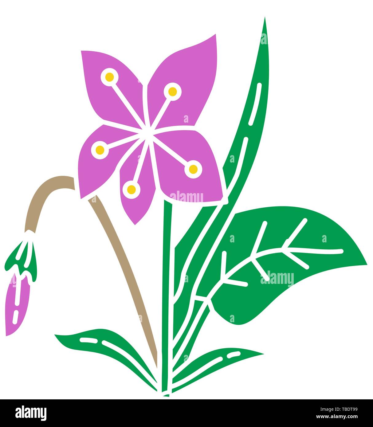 Flower Leaf Illustration Design Template Vector Stock Vector Image ...