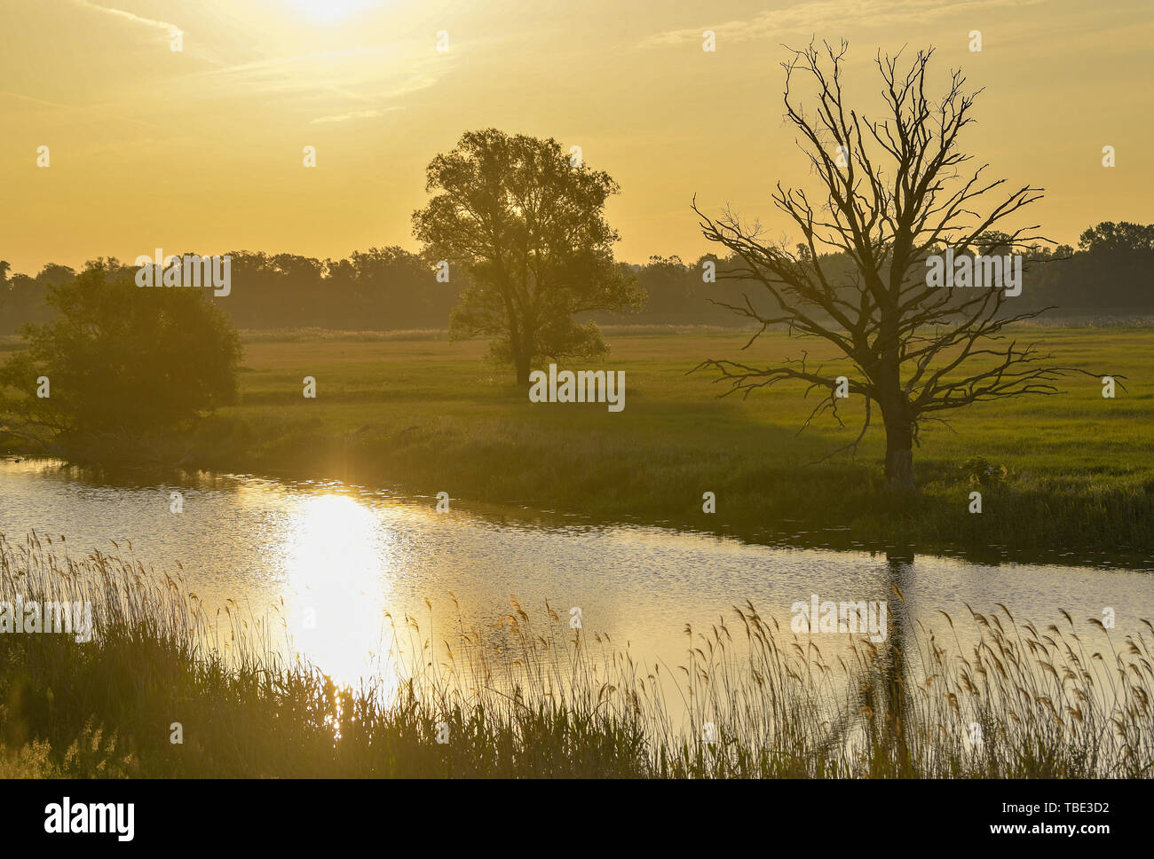 Foothills of the oder hi-res stock photography and images - Alamy