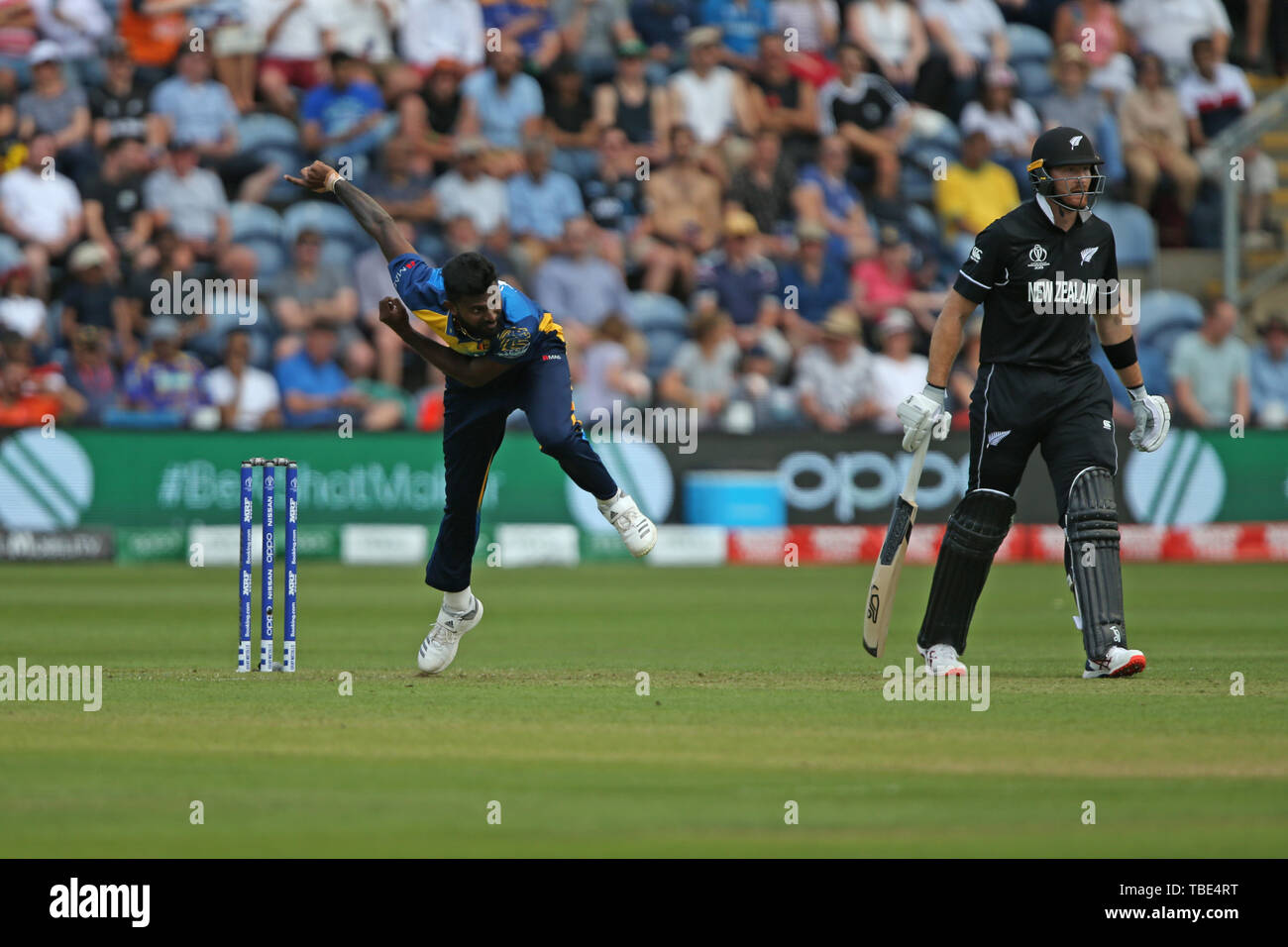 New zealand and sri lanka hi-res stock photography and images - Alamy