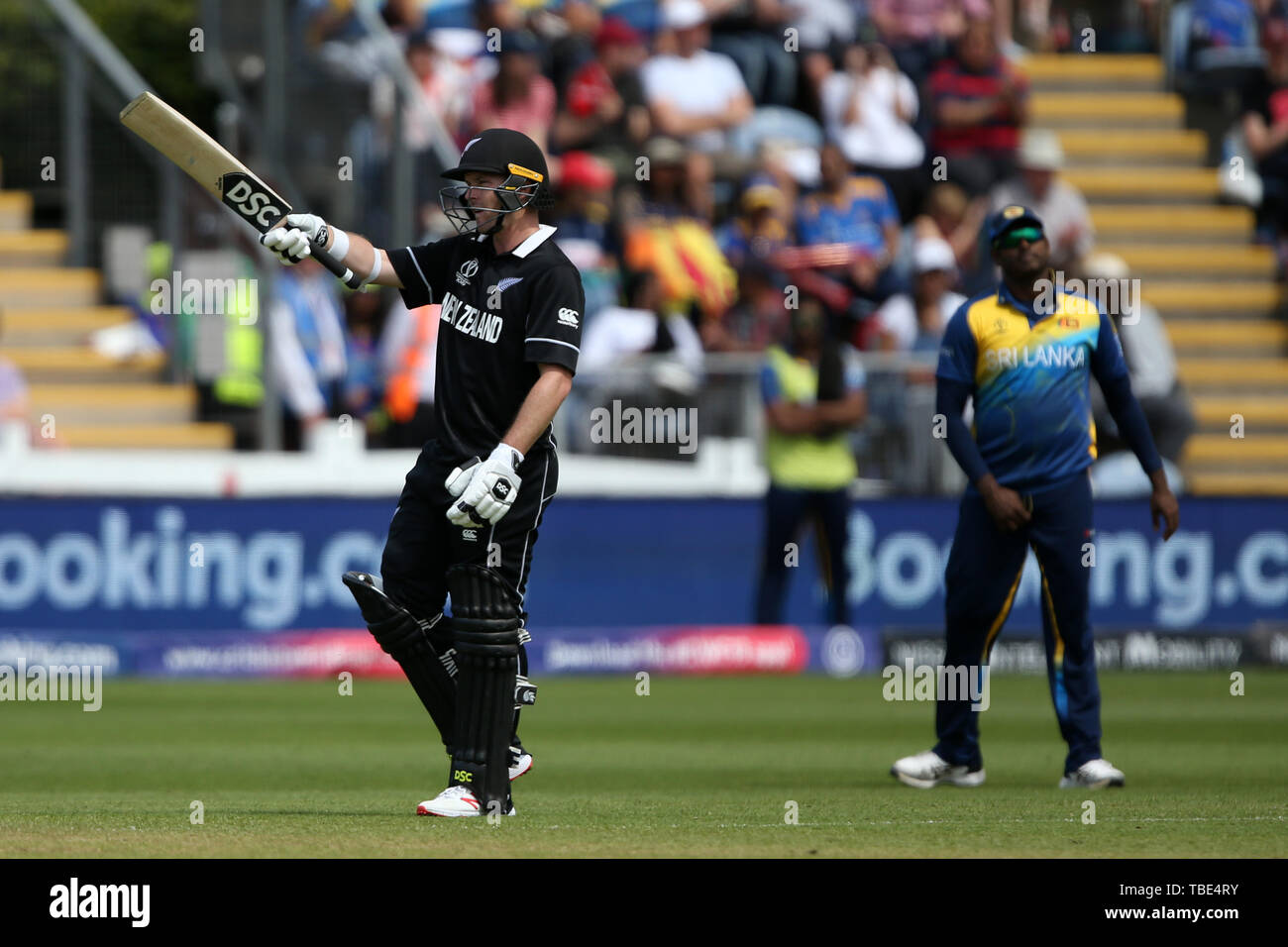 Cricket bat making hi-res stock photography and images - Alamy