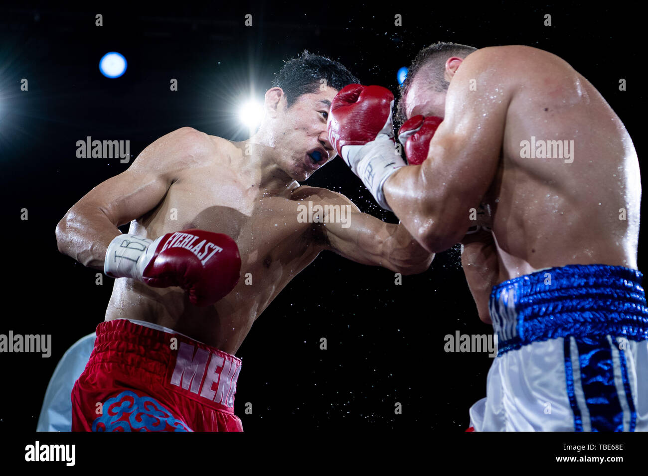 Ibf intercontinental hi-res stock photography and images - Alamy