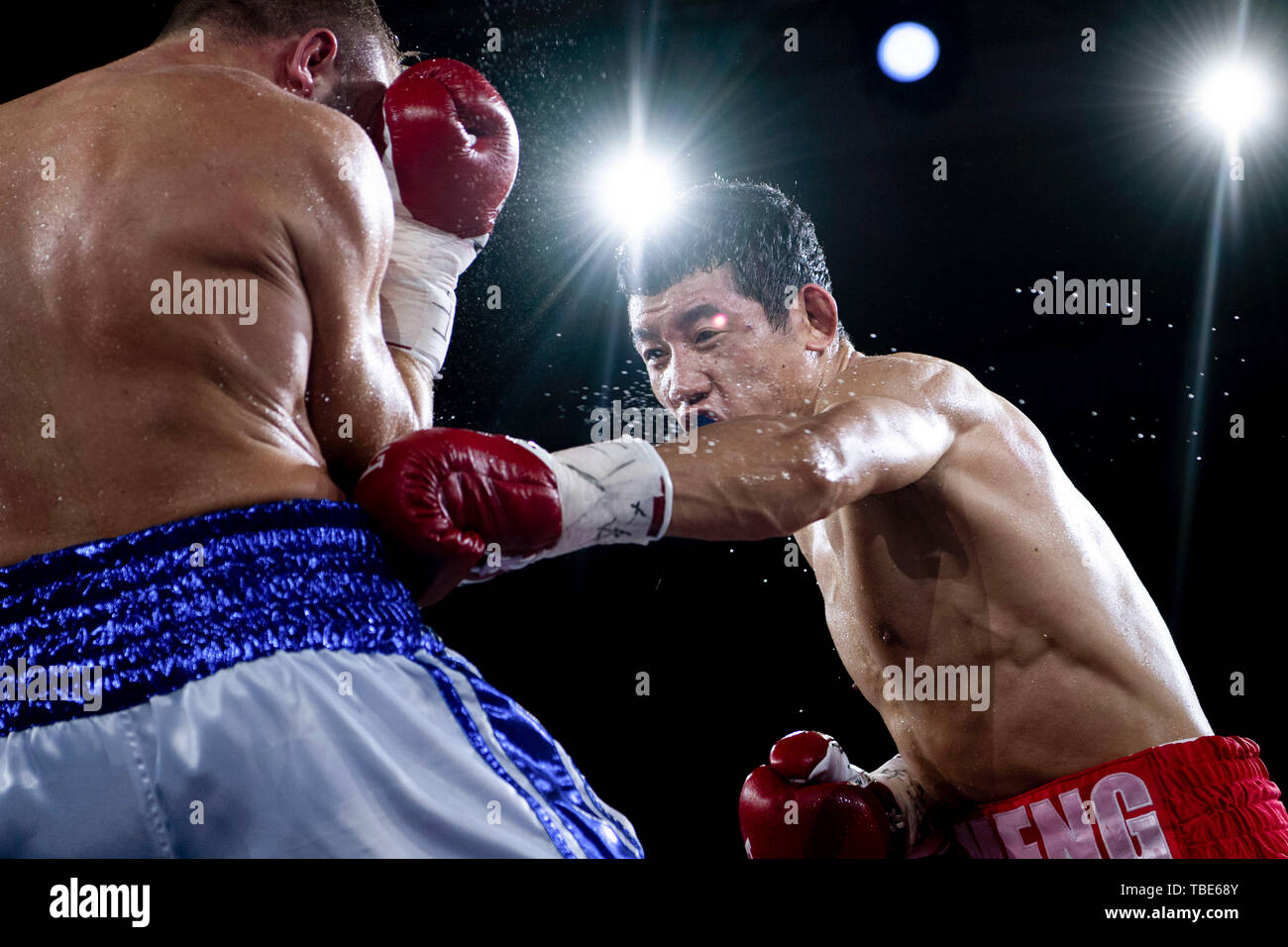 Ibf intercontinental hi-res stock photography and images - Alamy