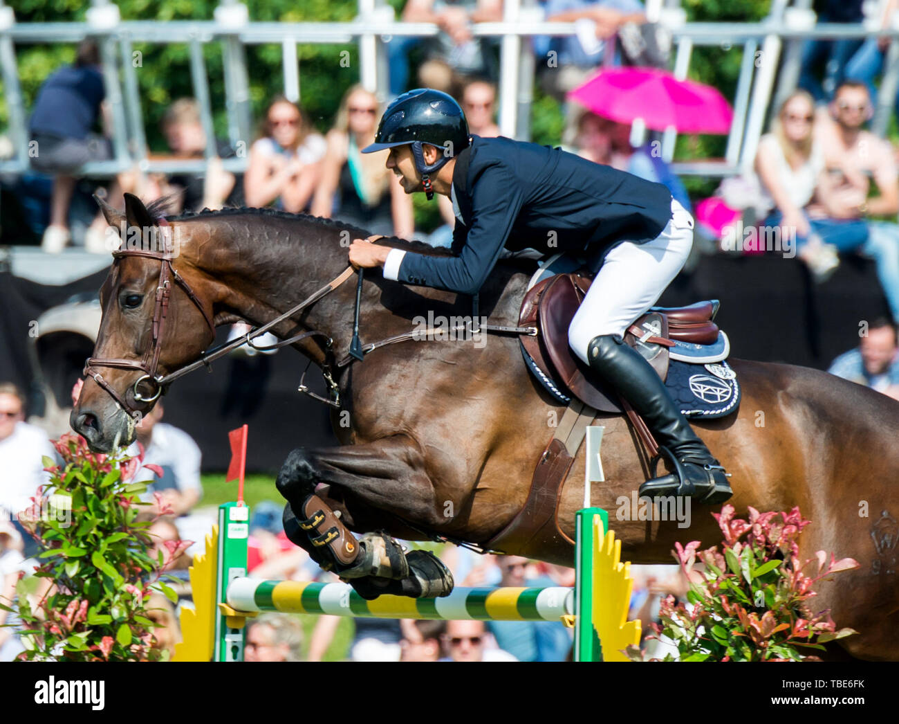 Hamburg, Germany. 01st June, 2019. Equestrian Sport/Jumping, German ...