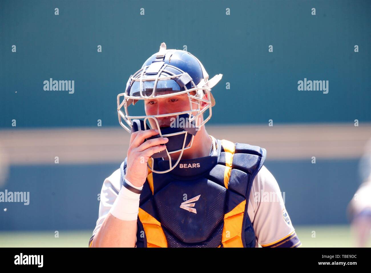 Korey lee hi-res stock photography and images - Alamy