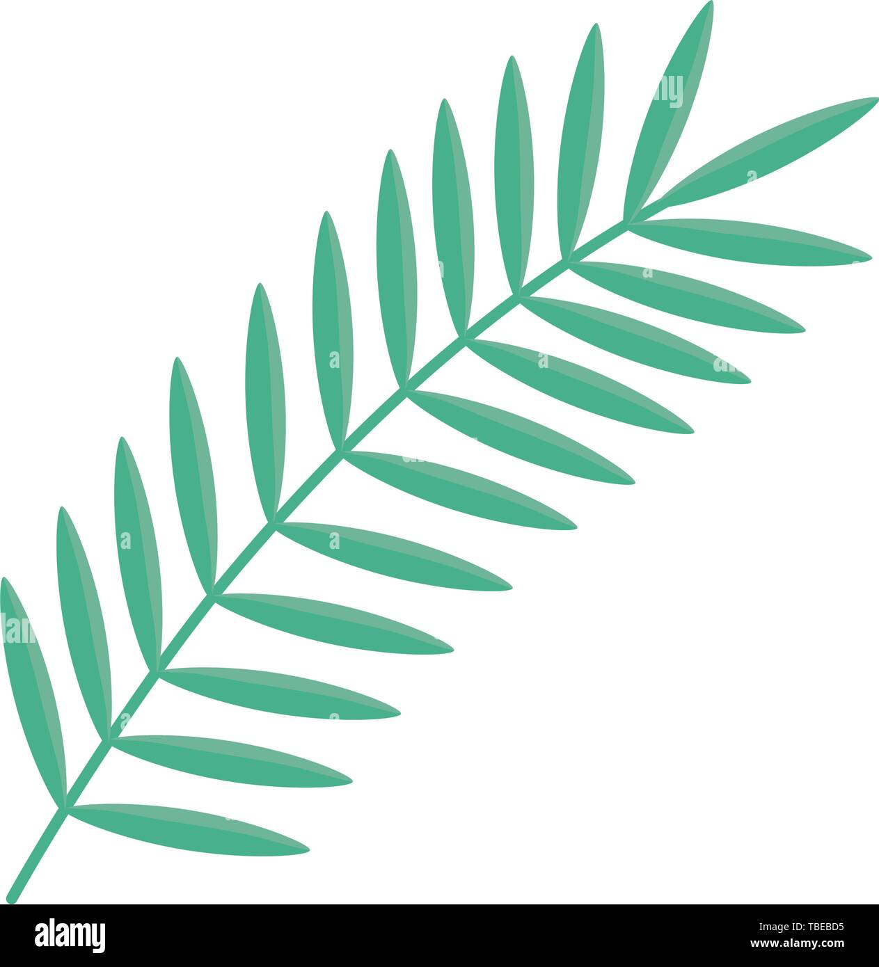 Leaf design, Plant floral garden nature decoration ornament and season ...