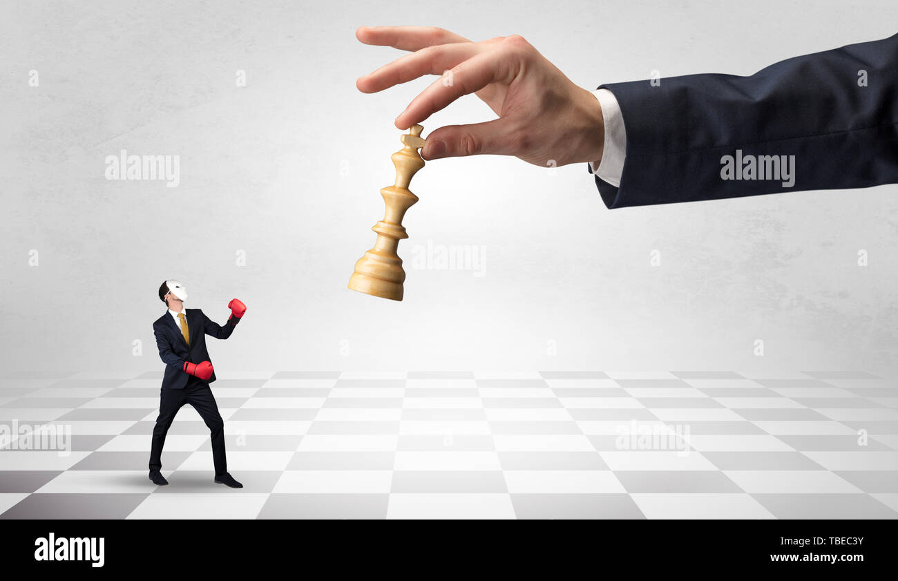 Rooks fighting hi-res stock photography and images - Alamy