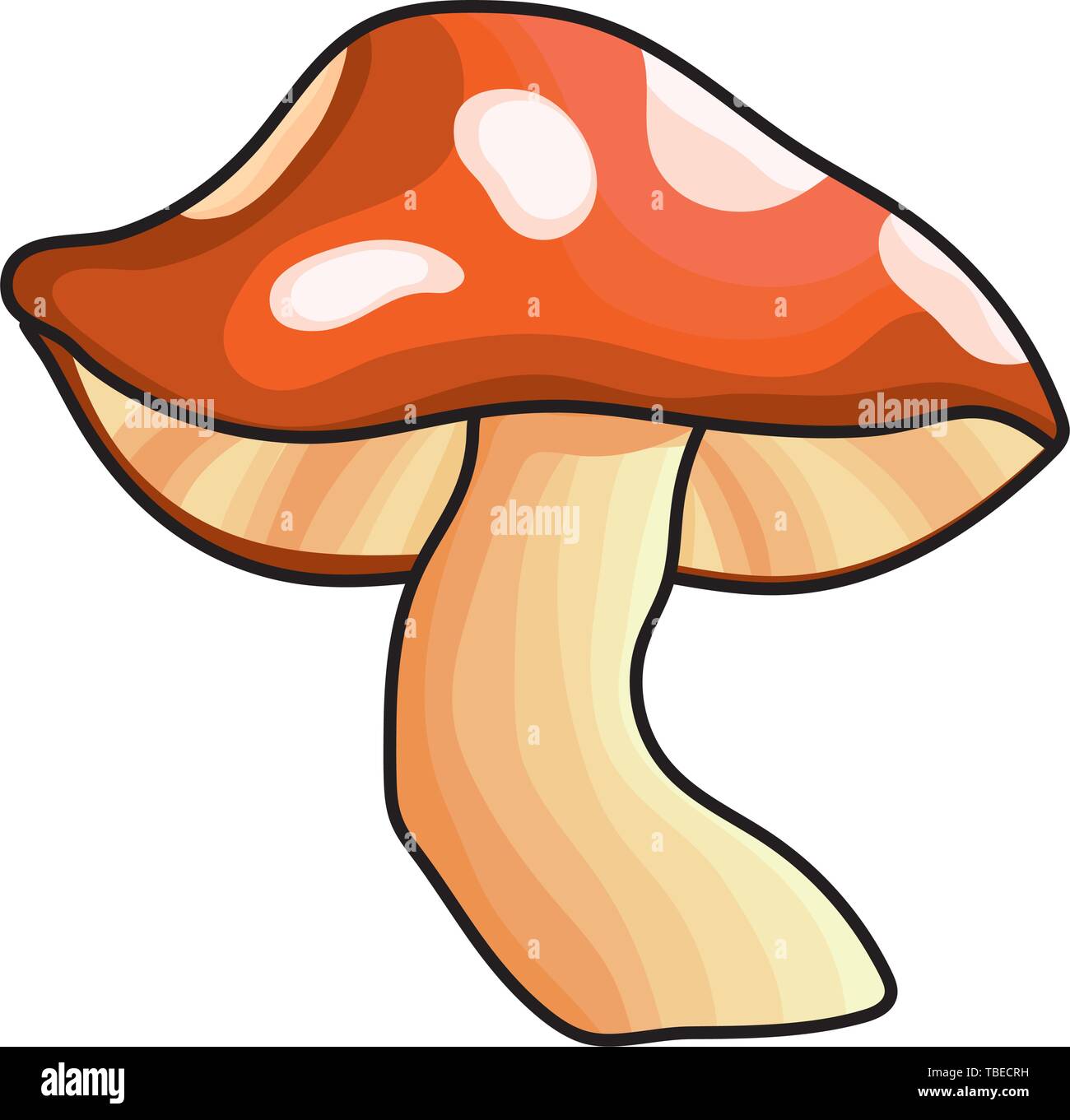 Pointed fungi mushroom design, nature fungus food forest plant and ...