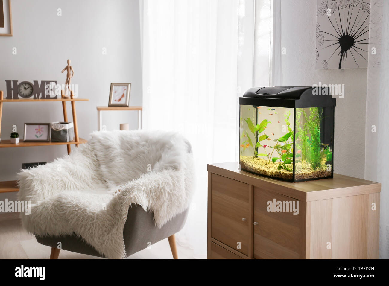 Interior of room with beautiful aquarium Stock Photo - Alamy