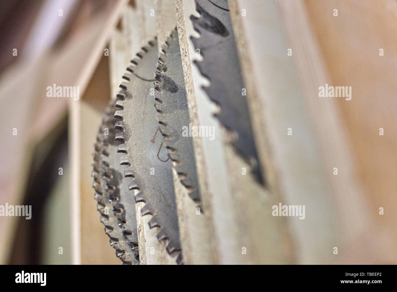 Carpenter saws in a woodworking workshop Stock Photo - Alamy
