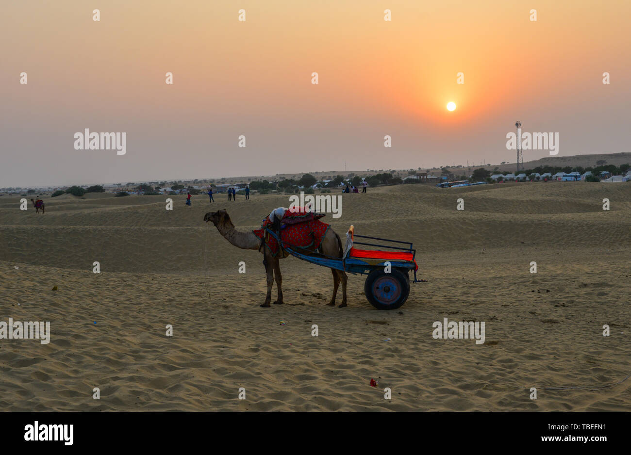 Riding camel on Thar Desert in Jaisalmer, India. Thar Desert is a large ...