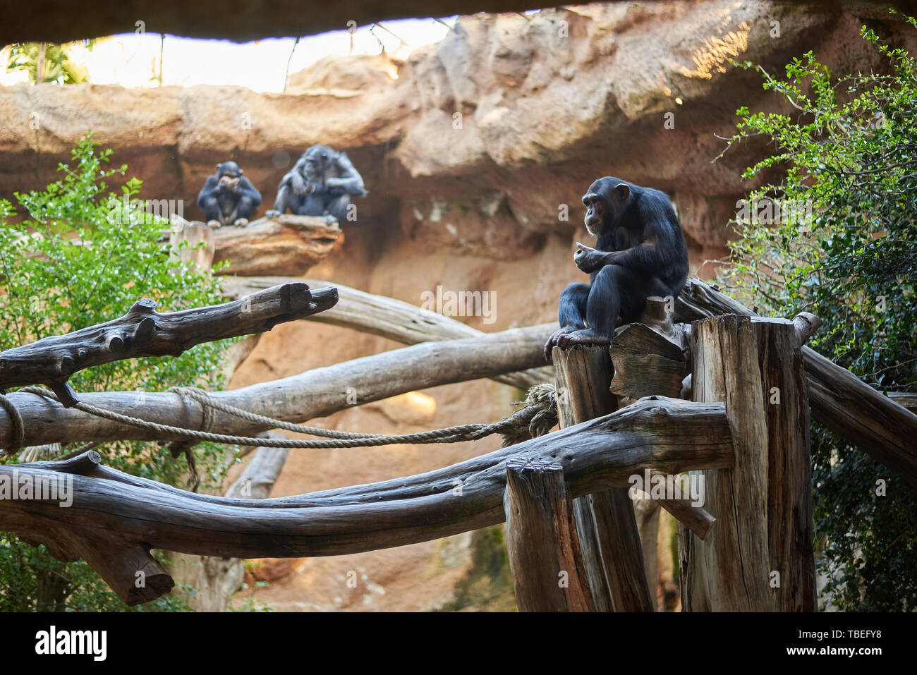 Artificial environment hi-res stock photography and images - Alamy