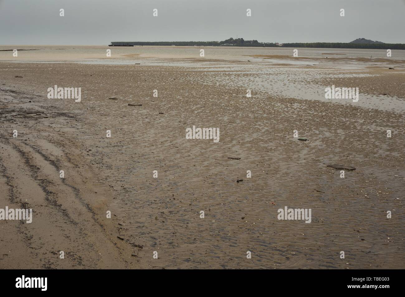 Maritime ecosystem hi-res stock photography and images - Alamy