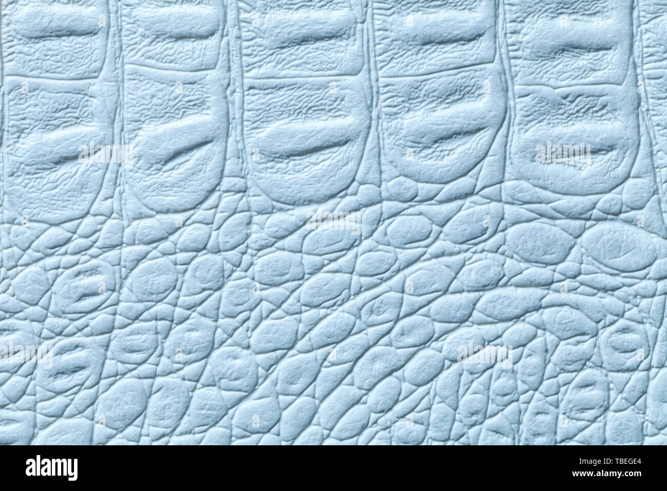 Blue Lizard Skin Texture