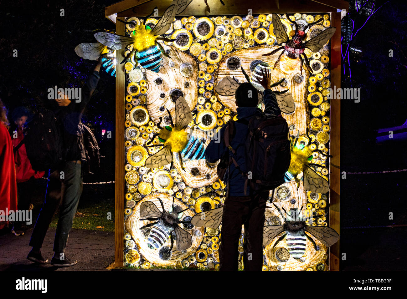 A bee exhibit in the botanic gardens in Sydney during the light ...
