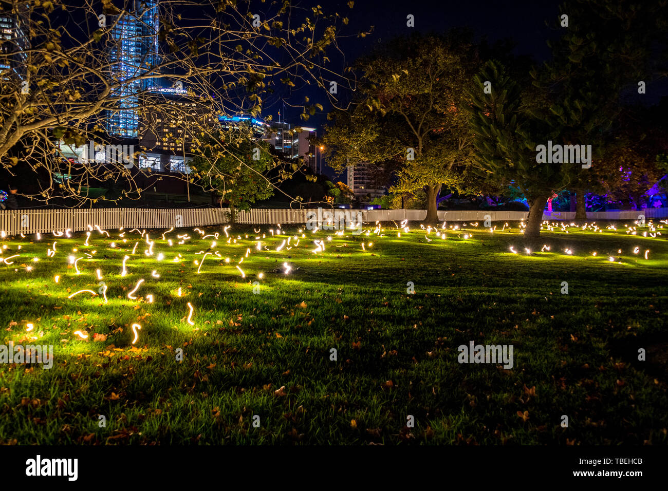 Light exhibits during Vivid in the Sydney Botanic Gardens at night ...