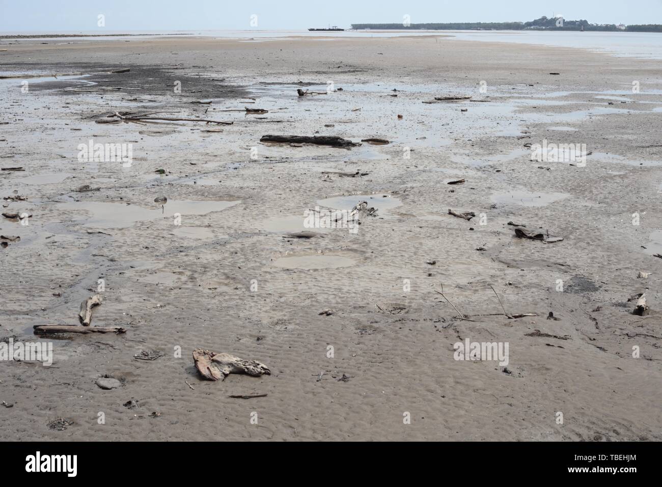 Cayenne river hi-res stock photography and images - Alamy