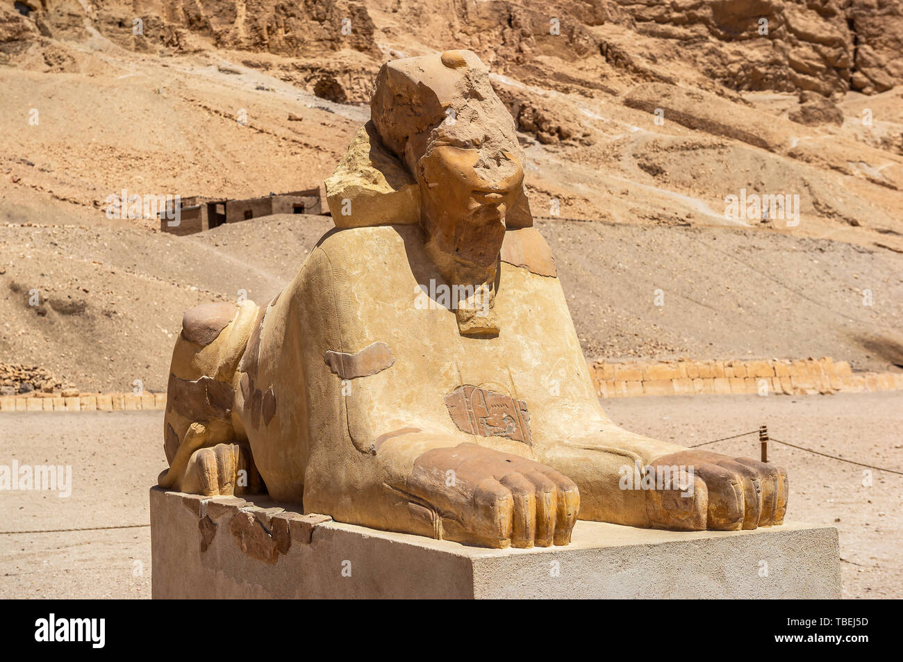 Ruins of ancient Sphinx in Hatshepsut Temple of Luxor, Egypt Stock ...