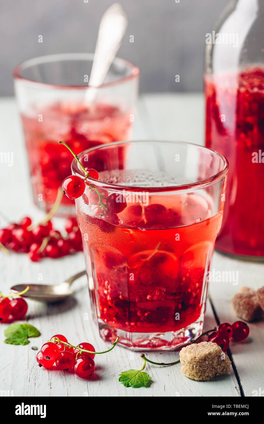 Infused water with fresh red currant and cane sugar Stock Photo - Alamy