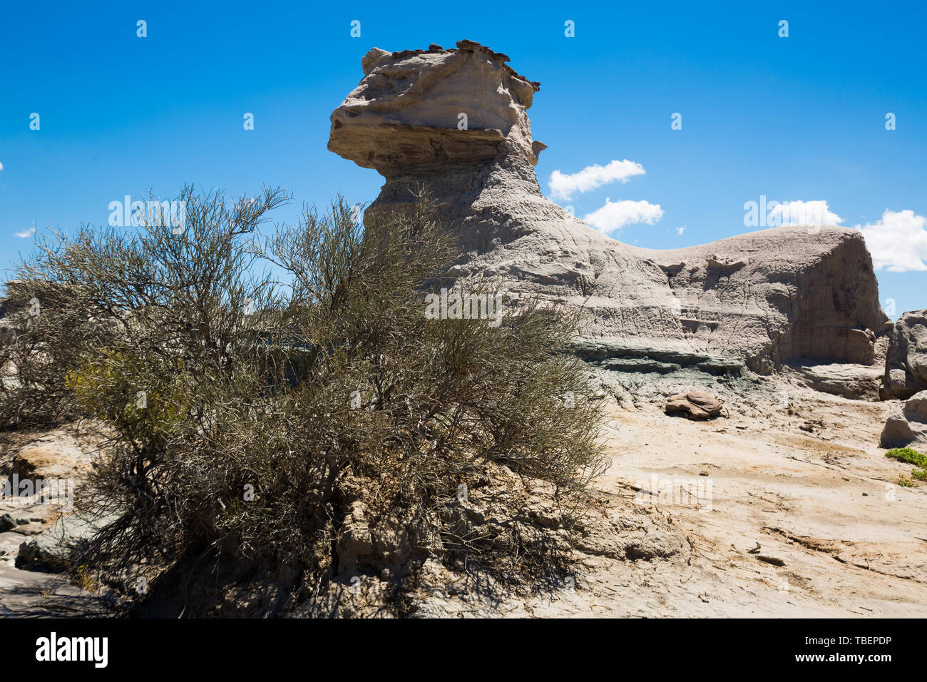 Stone landscape and natural stone formations in Ischigualasto ...