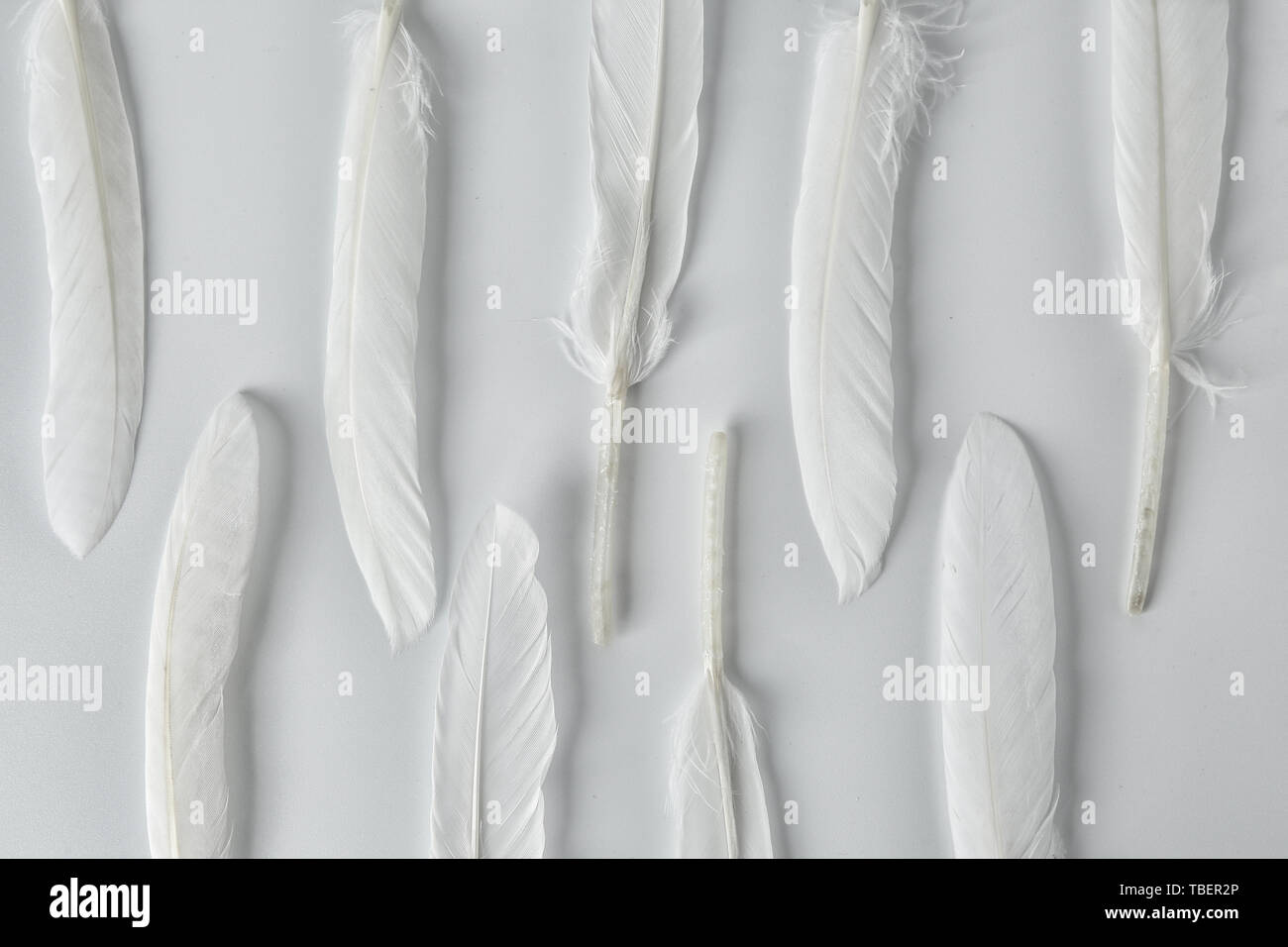 Soft feathers on white background Stock Photo - Alamy