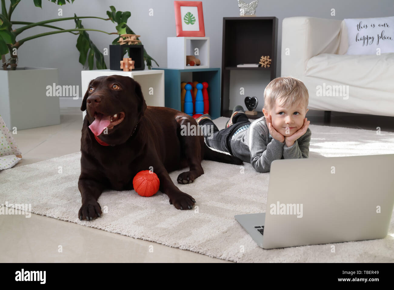 Breed dog cartoons hi-res stock photography and images - Alamy