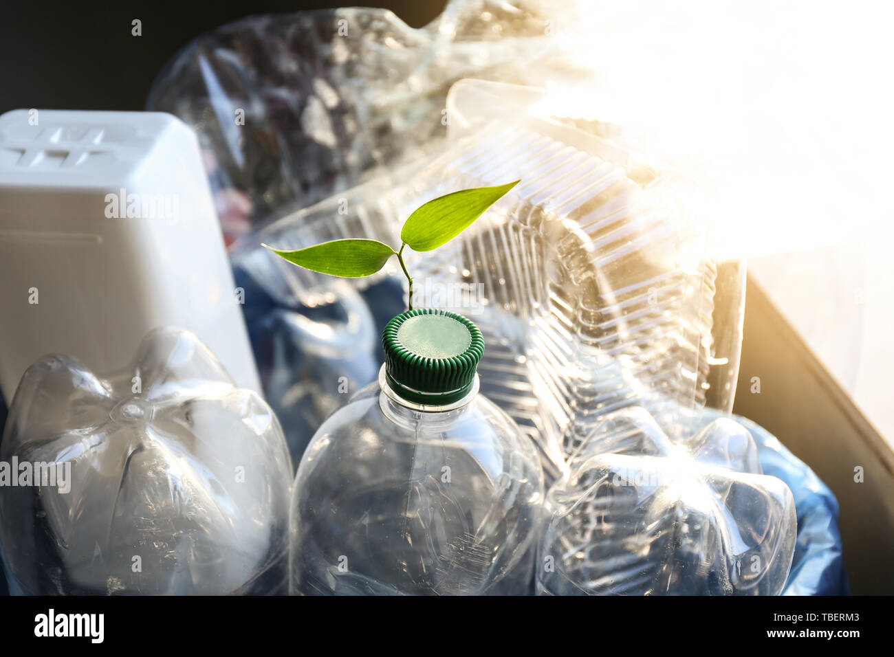 Different garbage and green plant. Concept of recycling Stock Photo - Alamy