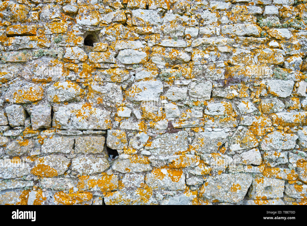 Old citadel wall with dark yellow/brown lichens and a couple of holes ...