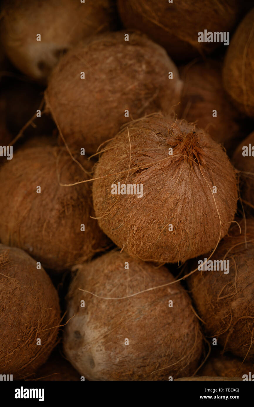 Pile of coconuts hi-res stock photography and images - Alamy